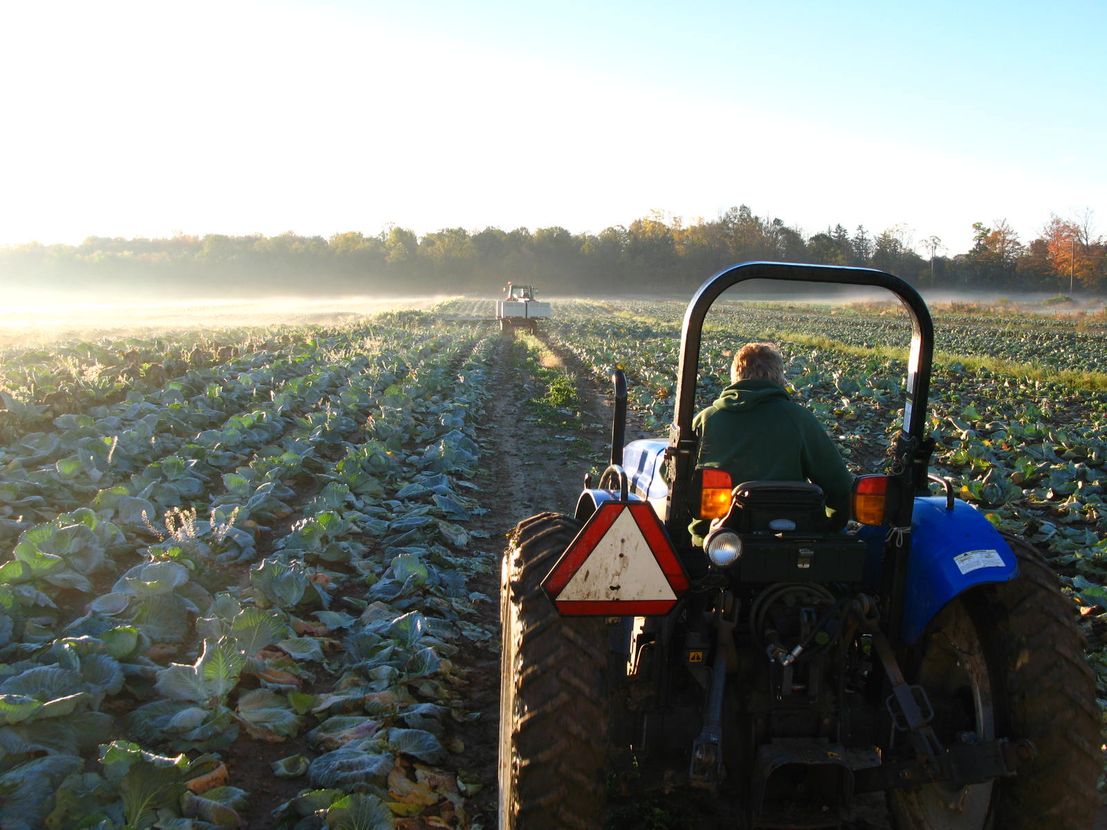 St. Jacobs Foods – About Us